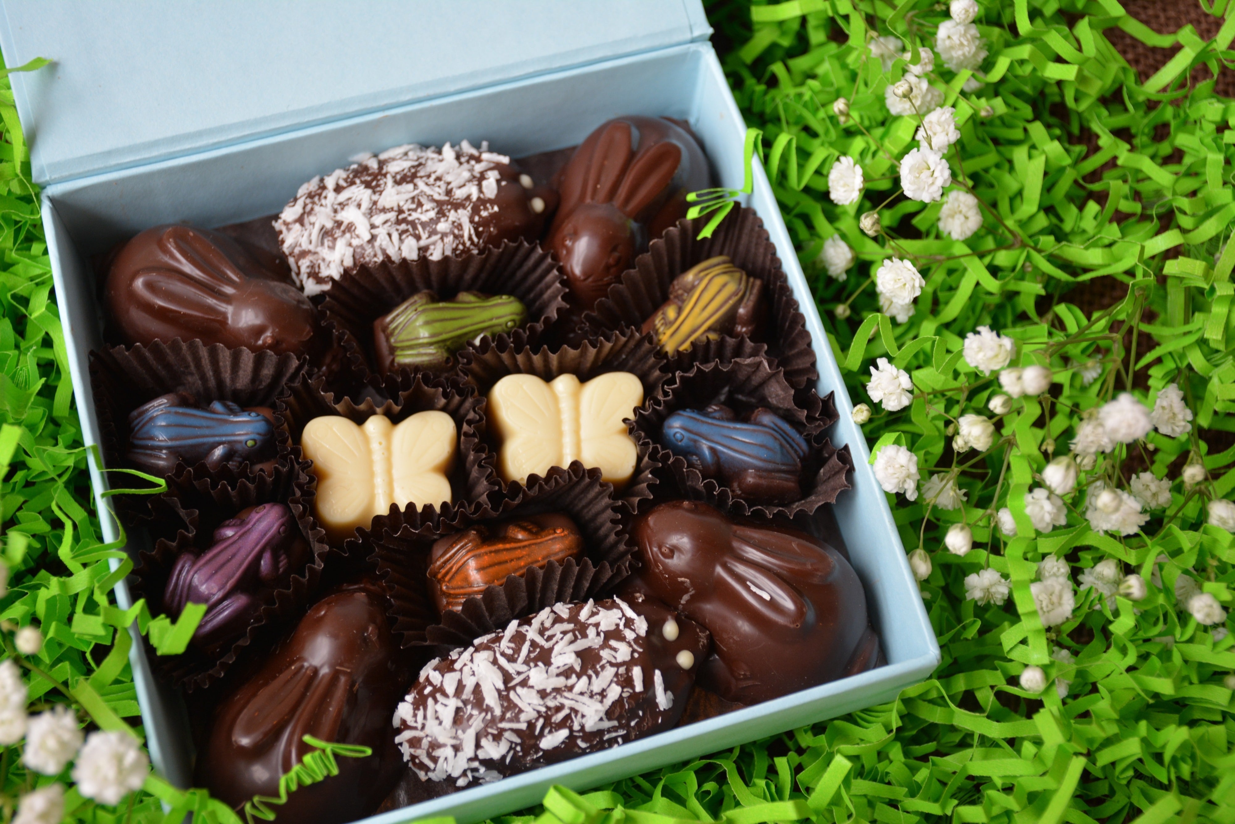 Spring Chocolate Collection – Ragged Coast Chocolates